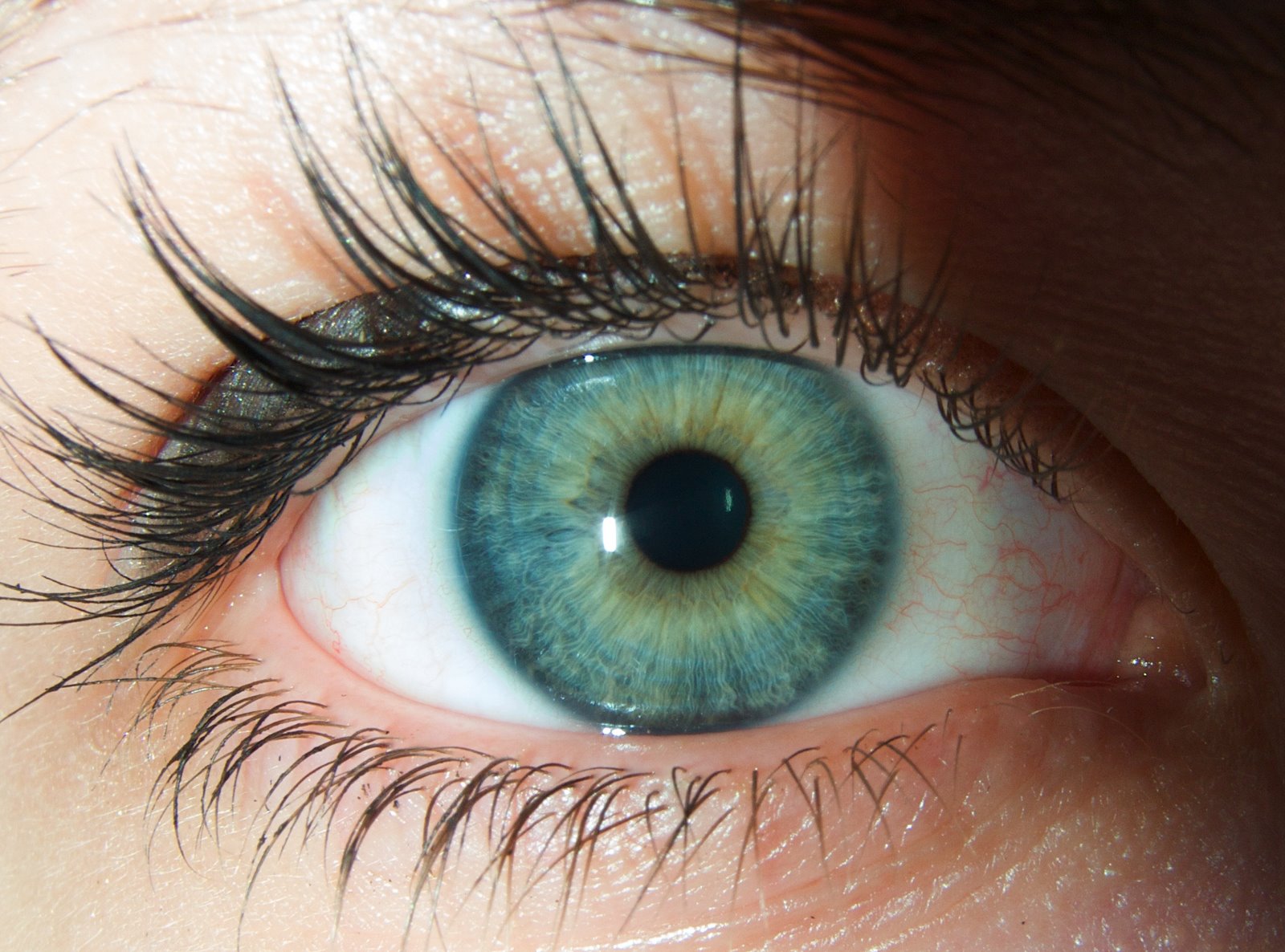 Osservazioni dell'occhio: i 12 sintomi per la diagnosi delle malattie