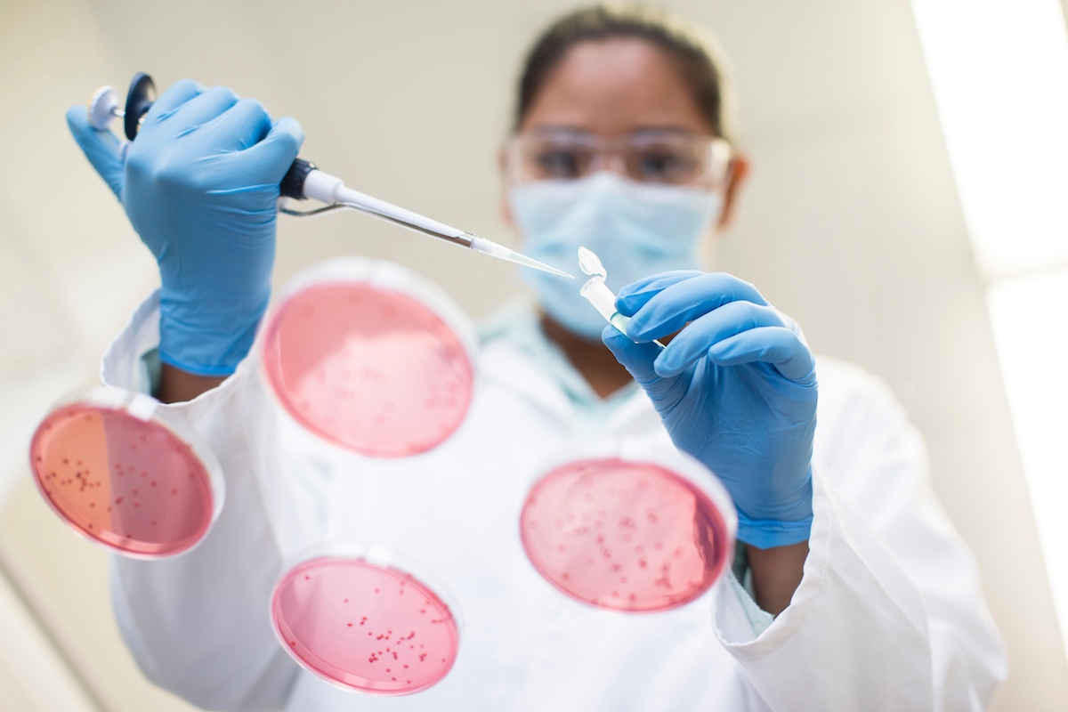 Dengue et les infections ont triplé en Amérique du Sud : les médecins ...