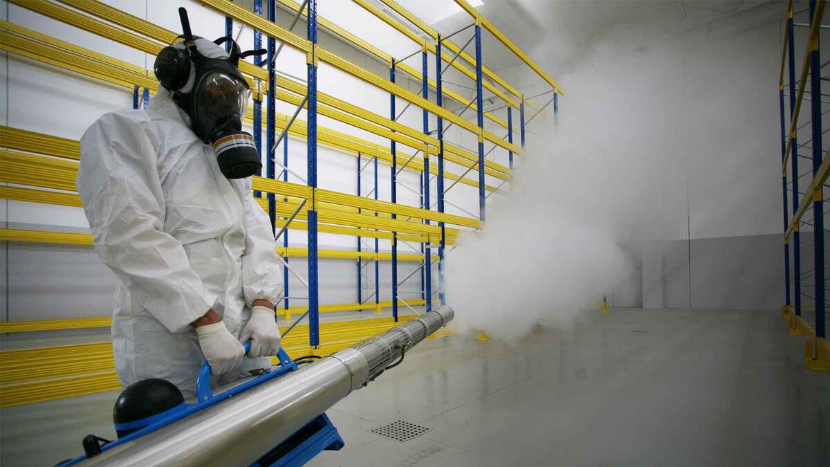 Servizio di derattizzazione: quando richiederlo e come funziona